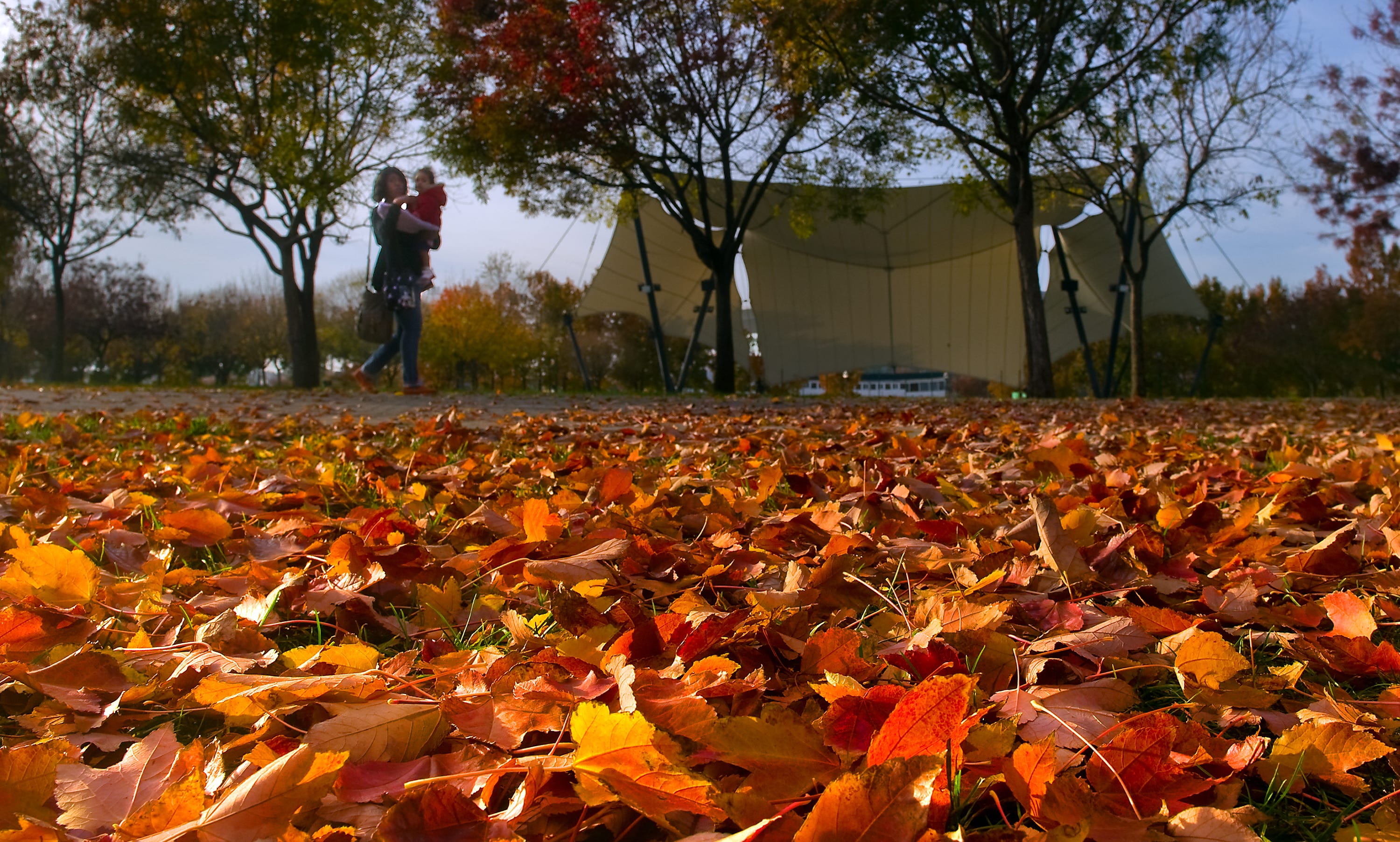 When will it feel and look like fall in California? Here's when fall ...