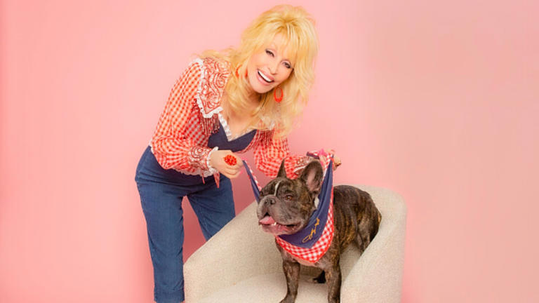 Watch Ed the Zebra's Viral Escape End With an Epic Helicopter Rescue!