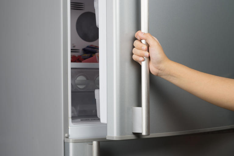 10 Cool Tips for a Garage Refrigerator or Freezer