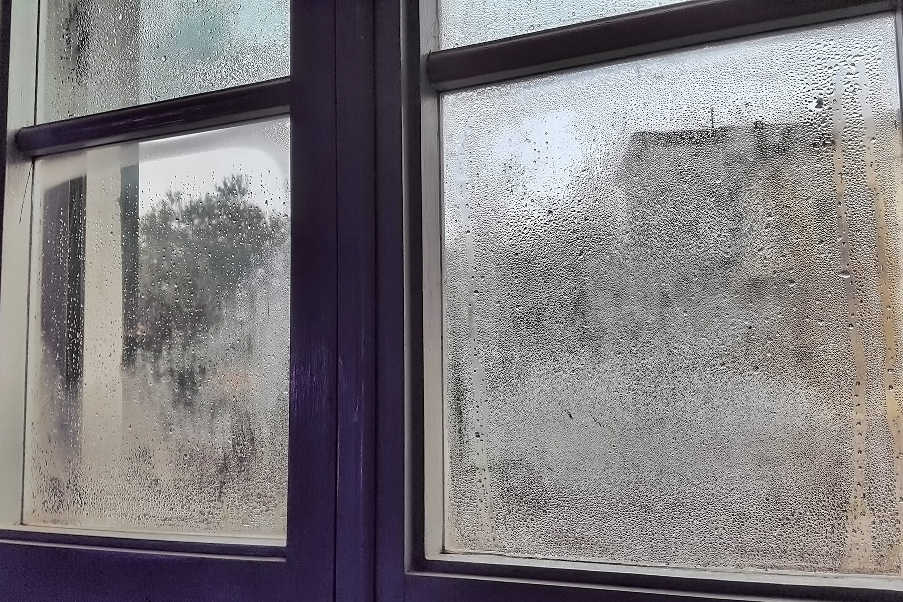 This Simple Hack Stops Condensation on Your Windows