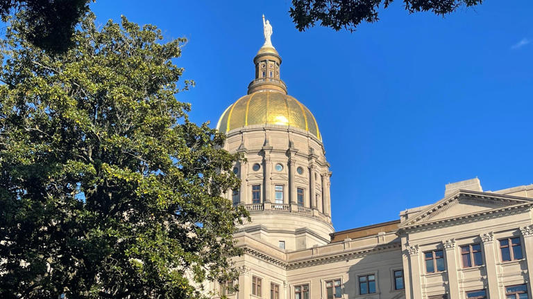 Ga. lawmakers want to ease the occupational license process