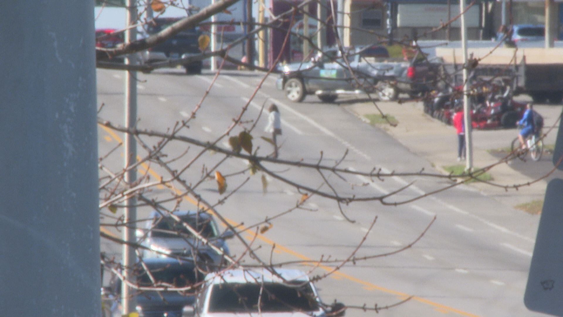 Name of pedestrian killed in crash released