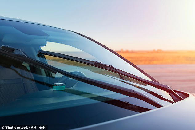 What the black dots on your windscreen are for