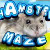 I built a crazy hamster maze with traps and obstacles