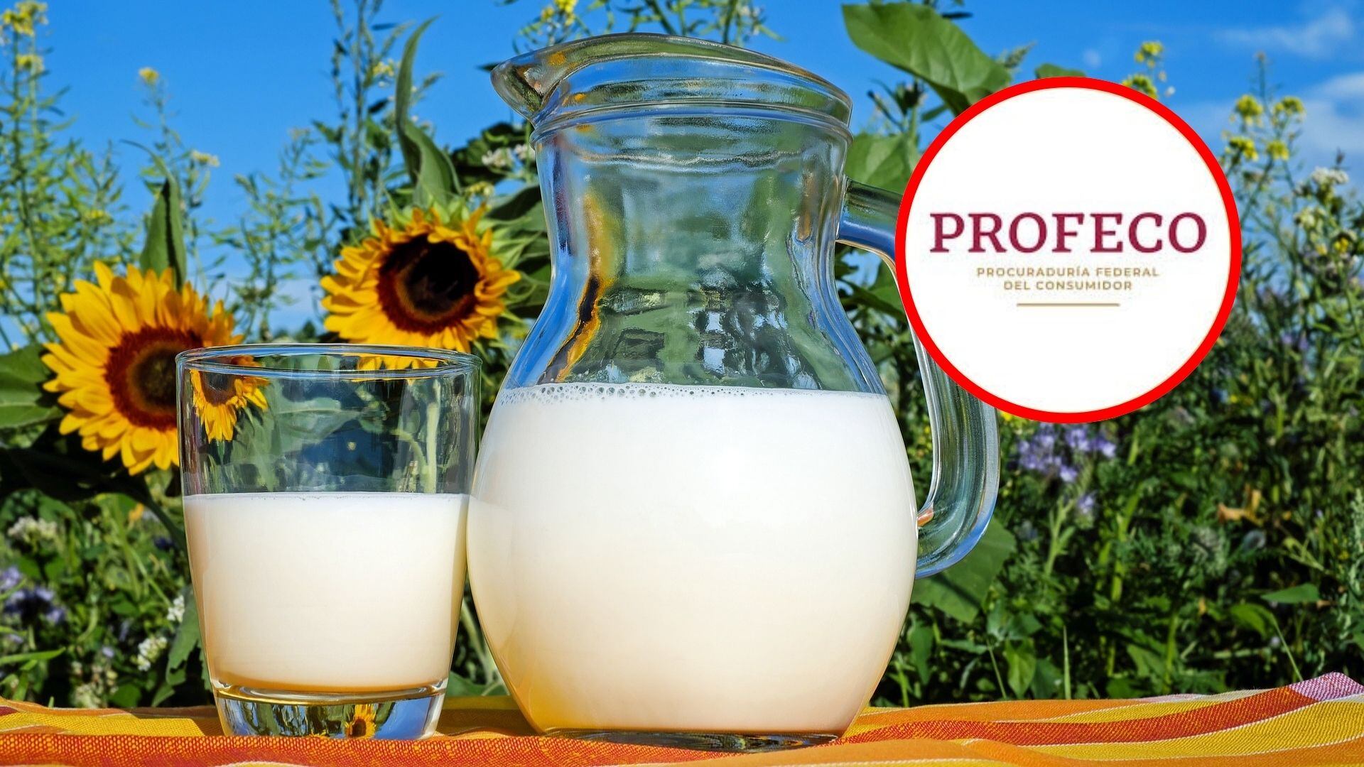 Profeco analiza 85 diferentes tipos de leche, estas son las mejores ...