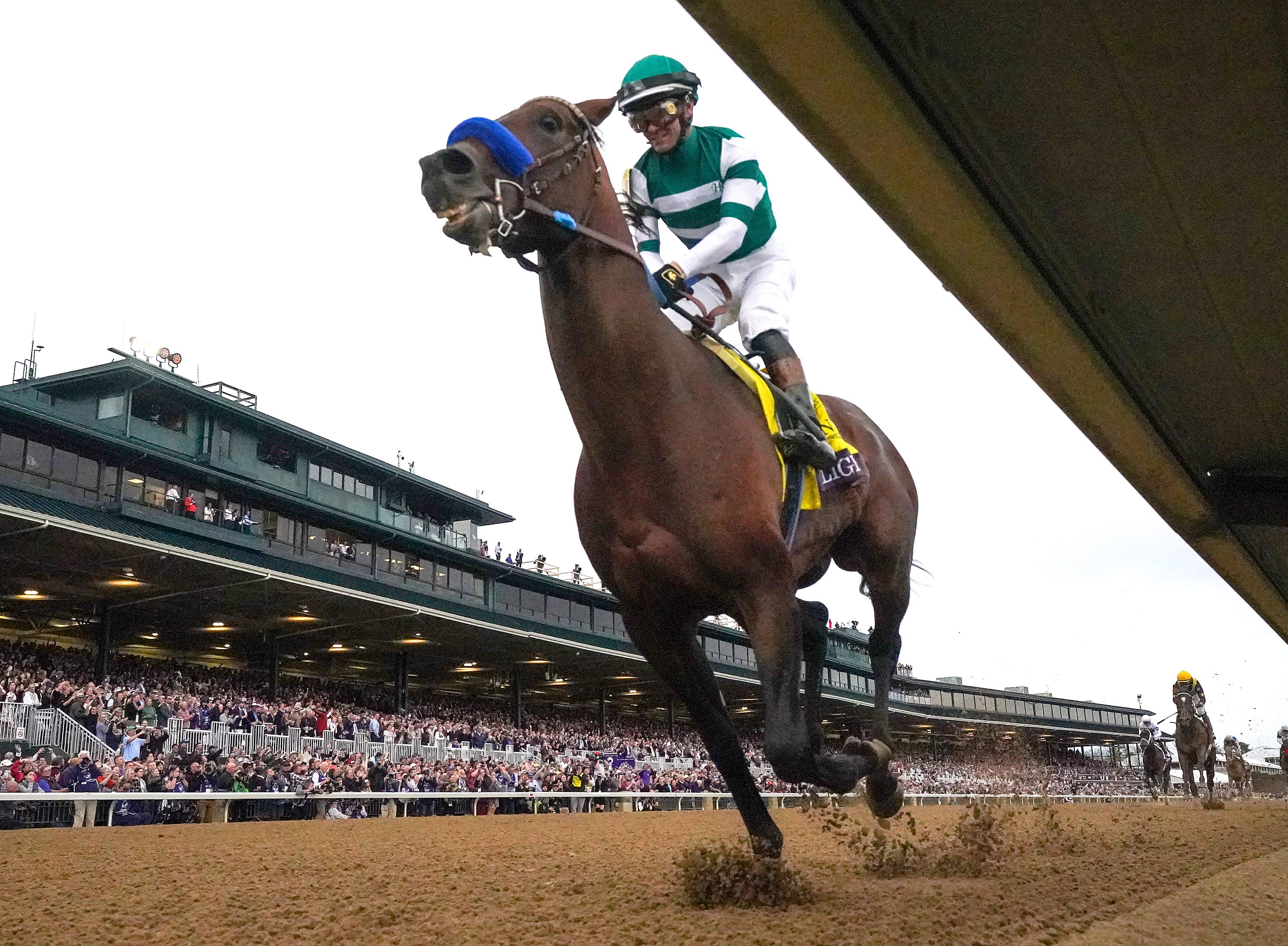 Keeneland Race Course to host Breeders' Cup World Championships for 4th ...