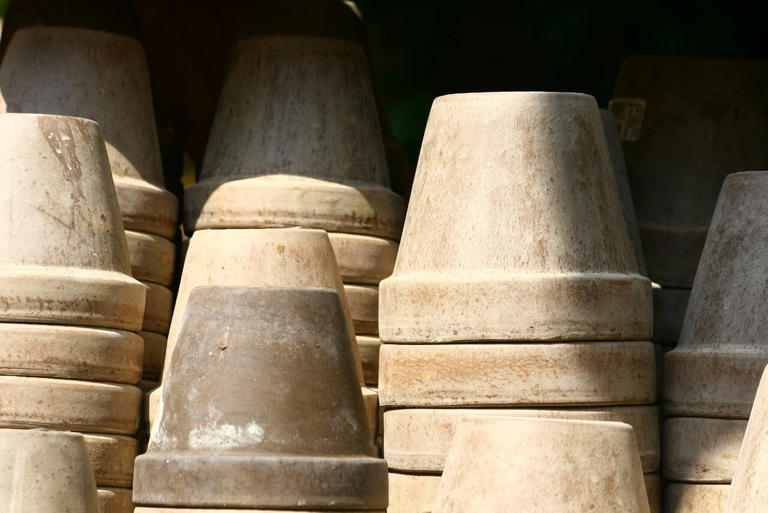 Guía completa para pintar macetas de barro y personalizarlas paso a paso