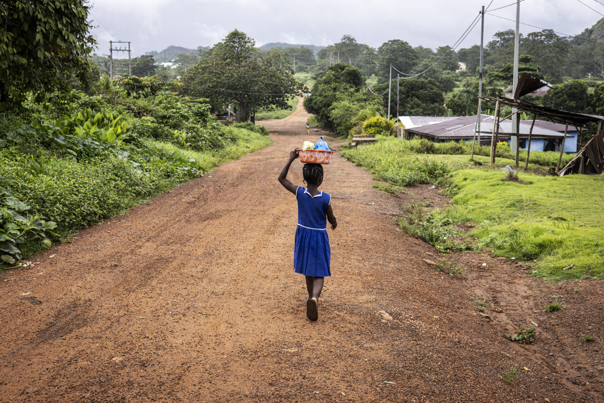 What you need to know about Lassa fever