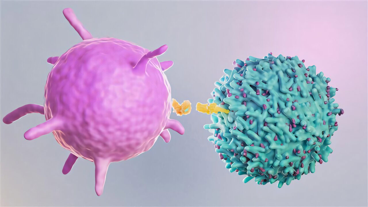 Advanced imaging method shows immune cell interactions in tumors to ... Advanced imaging method shows immune cell interactions in tumors to ...