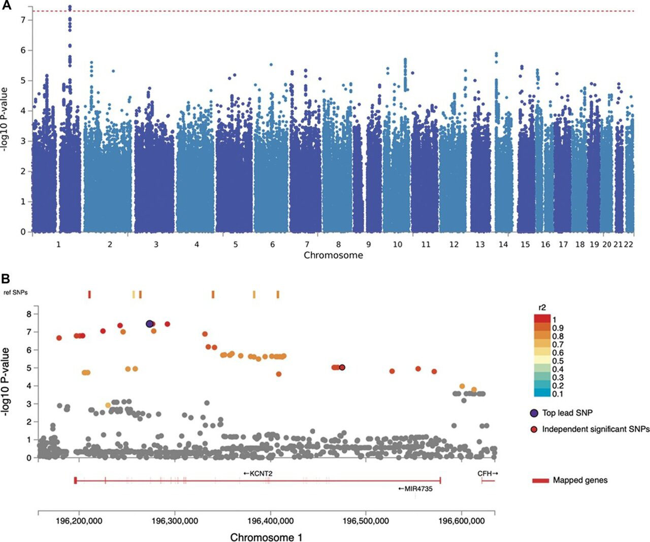 Study finds link between genetic markers and neuropathic pain Study finds link between genetic markers and neuropathic pain