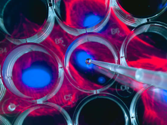 Scientists discover a ‘third state’ between life and death Scientists discover a ‘third state’ between life and death