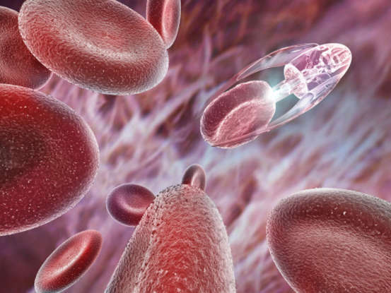 Scientists discover a ‘third state’ between life and death Scientists discover a ‘third state’ between life and death