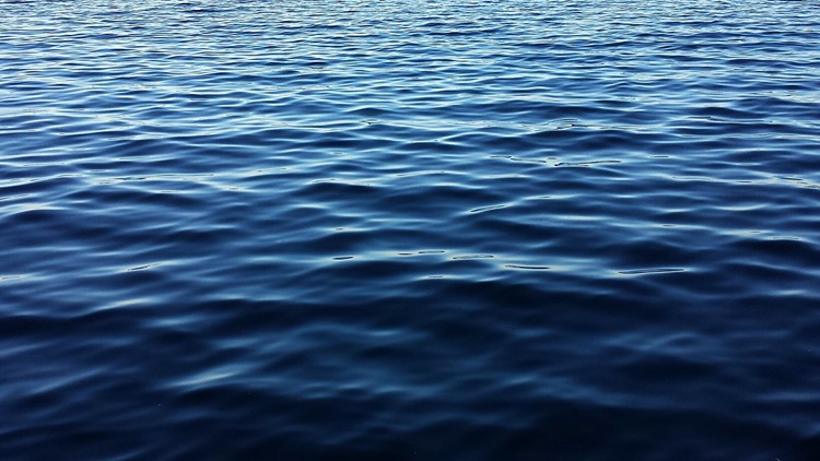 Turlock Irrigation District employee reportedly drowned in Lake Don Pedro