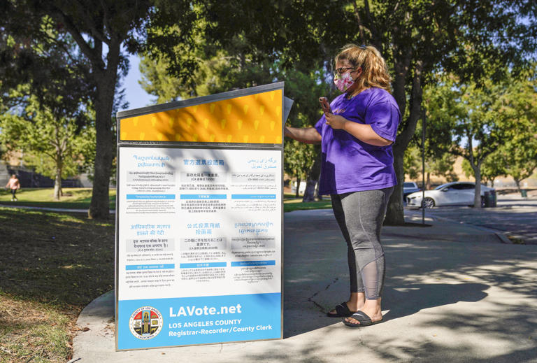 Llaman a comunidades étnicas a ejercer su voto en elección especial