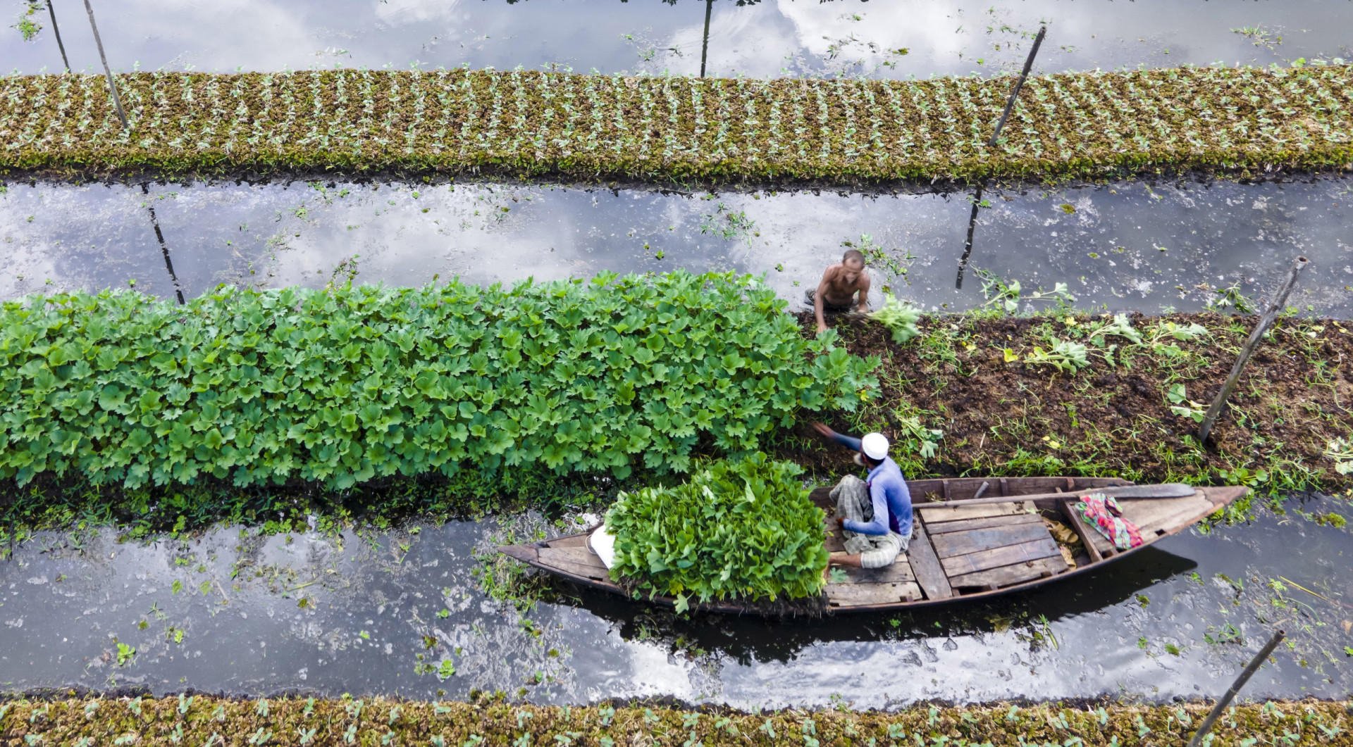 Floating gardens: Bangladesh's answer to climate change