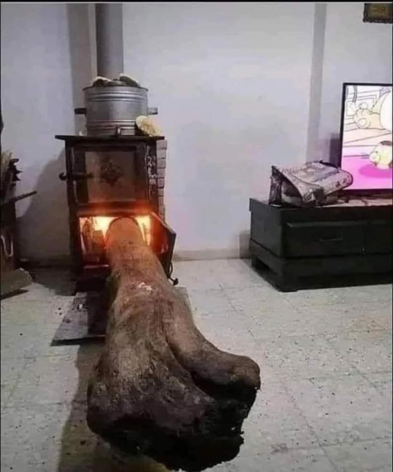 45 Funny Pictures That'll Make You Say "Hmmm" Because There's Really No ...