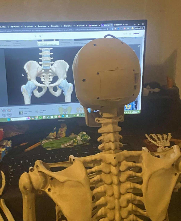 45 Funny Pictures That'll Make You Say "Hmmm" Because There's Really No ...