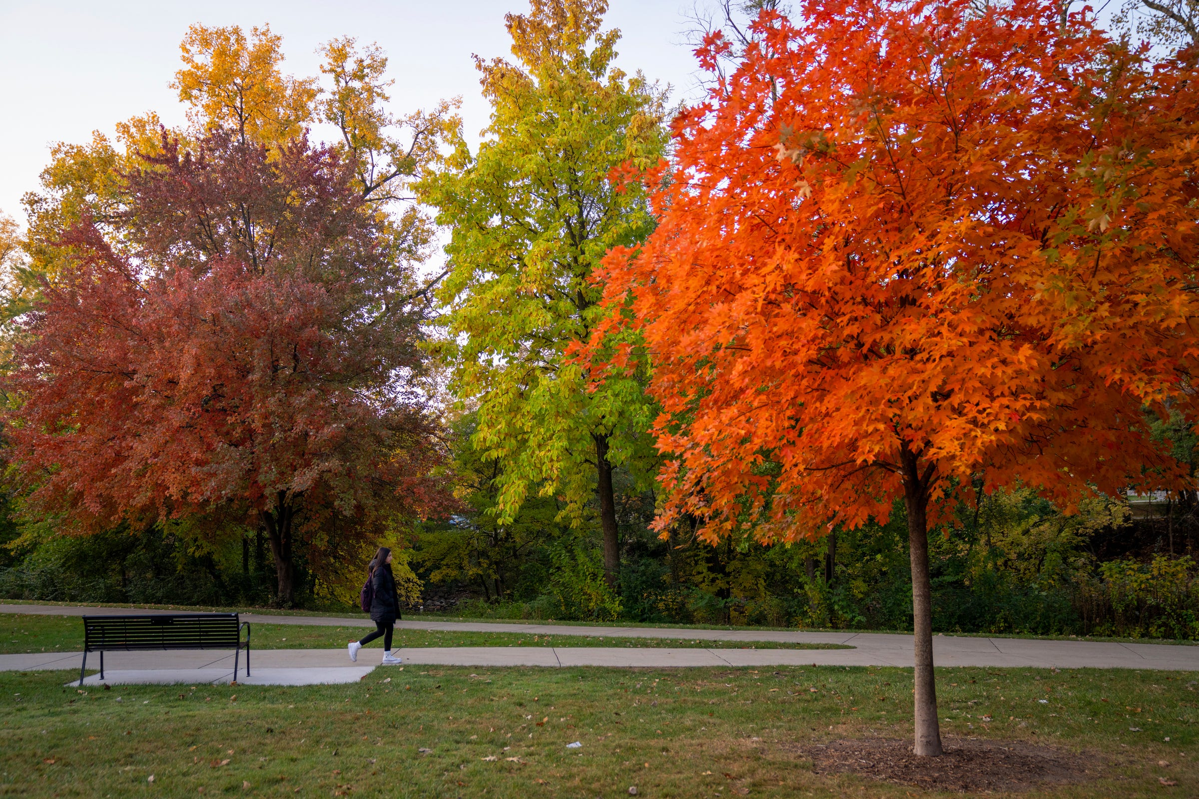 When does fall start? Here's what the NWS, almanacs say to expect in ...