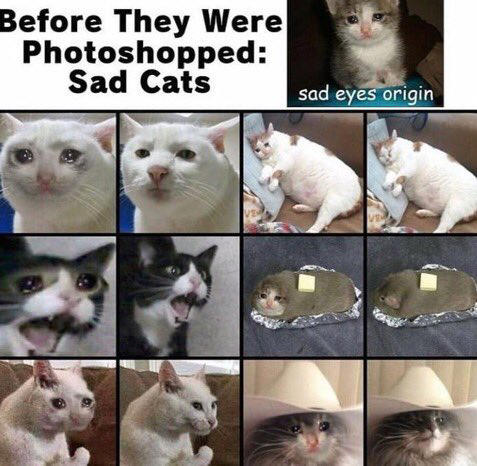 35 Pictures Showing The Origins Of Iconic Memes That You Probably Haven ...