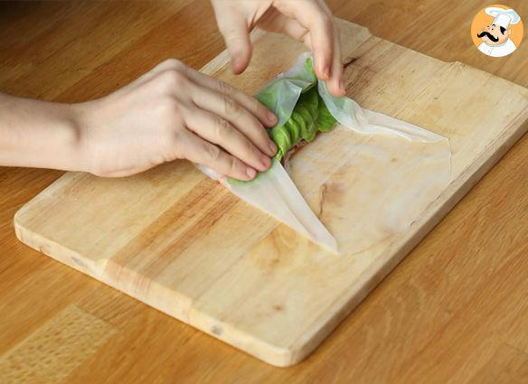 Spring rolls with marinated beef