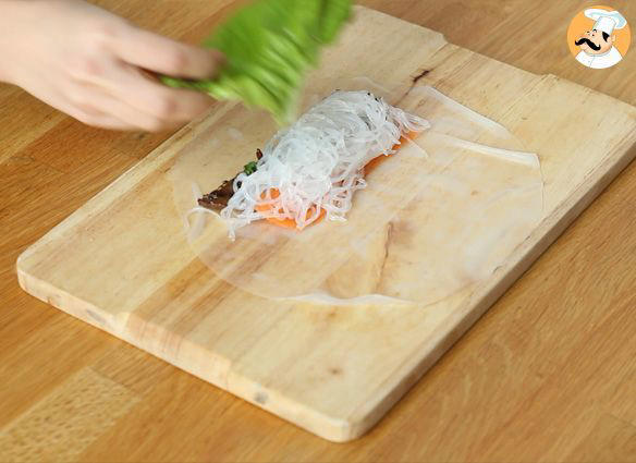 Spring rolls with marinated beef