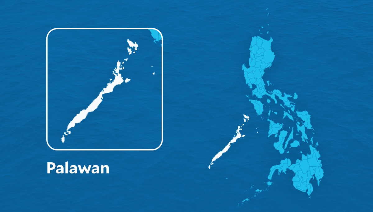 Ex-Palawan town mayor hurt, wife dead in road mishap