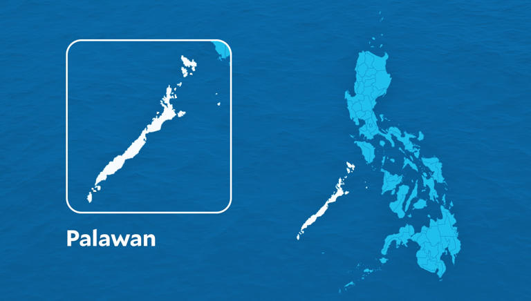 Palawan tribes seek 2 more seats in provincial board