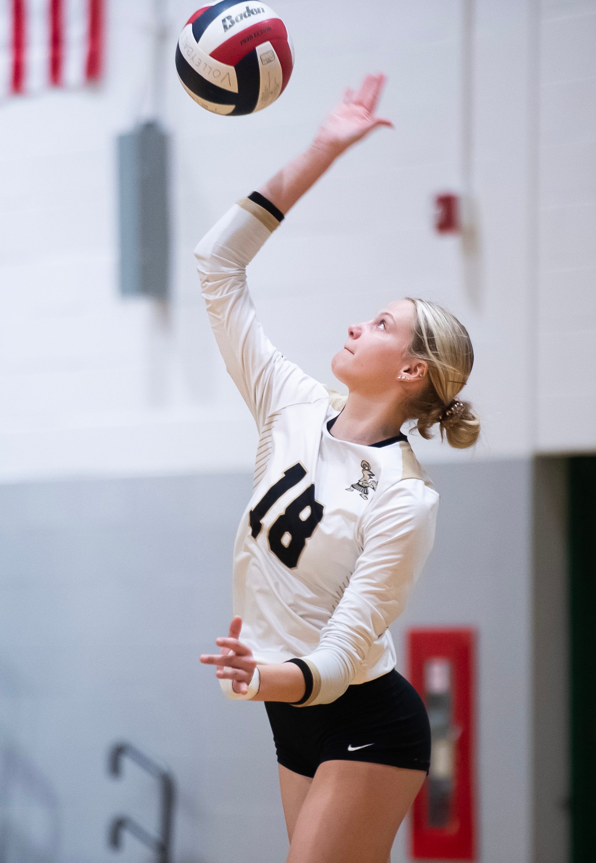 YAIAA girls volleyball coaches announce 2024 players of the year, all ...