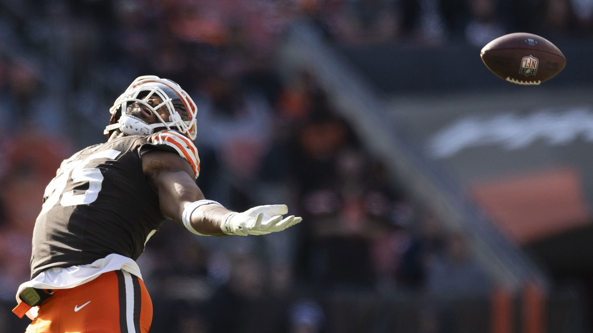 Daily Dawg Chow 11/1: Browns News, could they still make the playoffs ... Daily Dawg Chow 11/1: Browns News, could they still make the playoffs ...