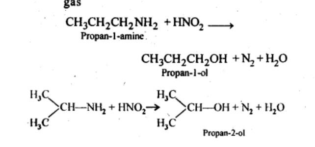 NCERT Solutions for Class 12 Chemistry Chapter 9 Amines: Download PDF For FREE