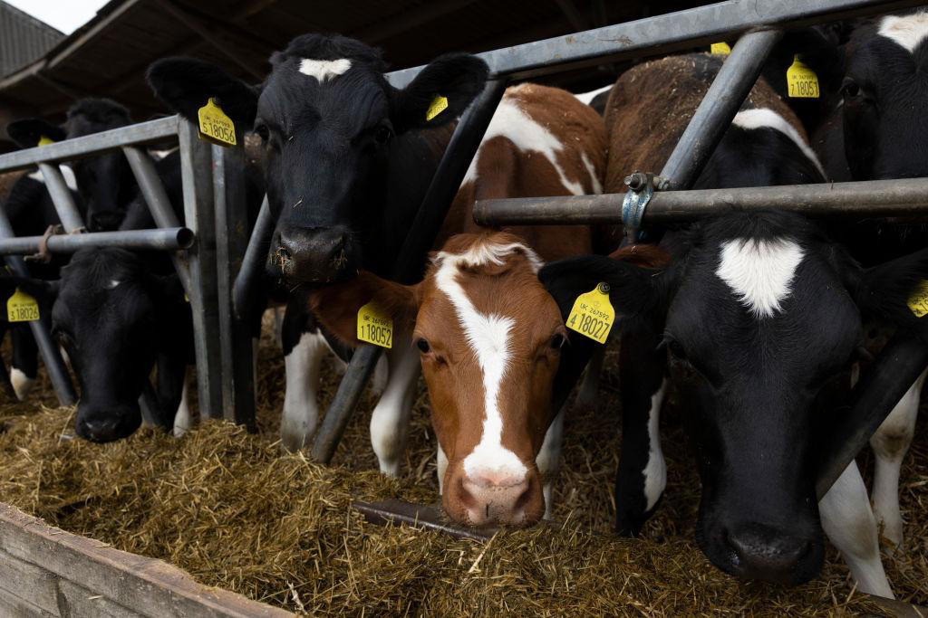 Inheritance tax for farms: You get a decade to come up with the money ... Inheritance tax for farms: You get a decade to come up with the money ...