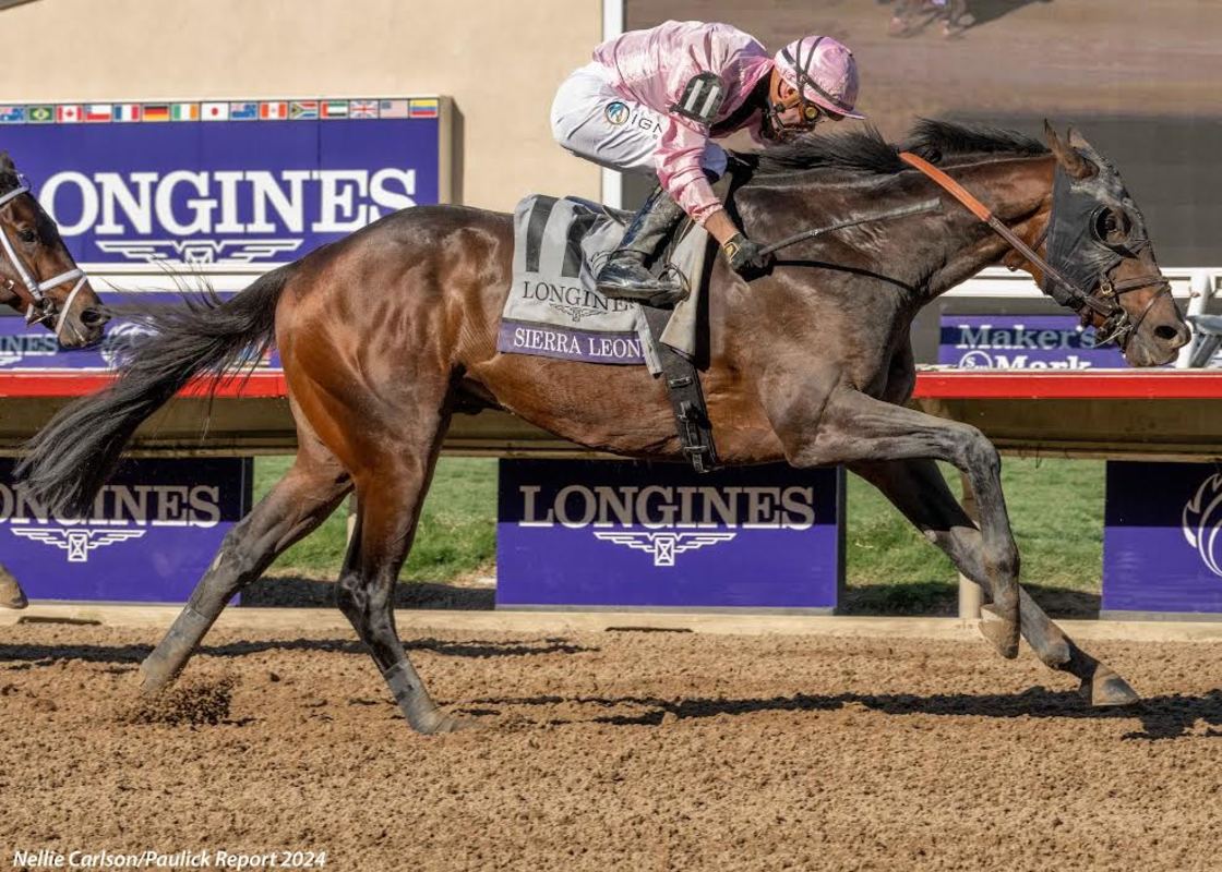 Ashford Stud Announces 2026 Fees For Debuting Stallions, Preakness ...