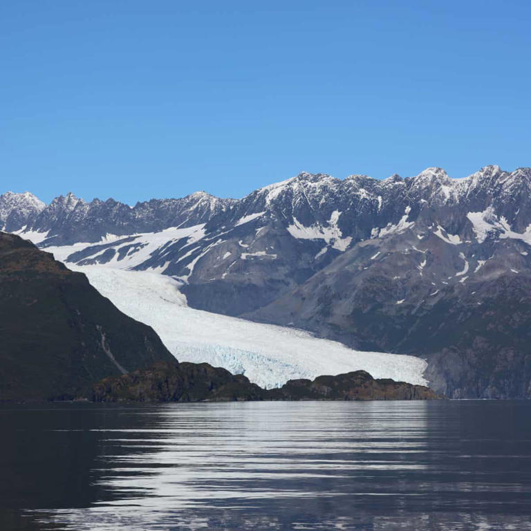 Kenai Fjords National Park Boat Tours