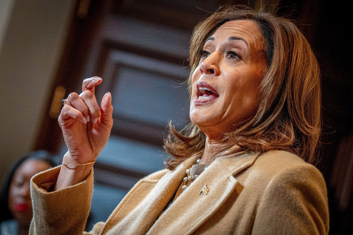 Harris slams Speaker Mike Johnson for saying the GOP may repeal CHIPS Act Harris slams Speaker Mike Johnson for saying the GOP may repeal CHIPS Act