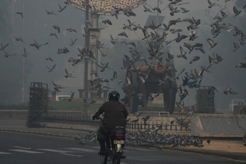 Pakistan stänger skolor på grund av smog Pakistan stänger skolor på grund av smog
