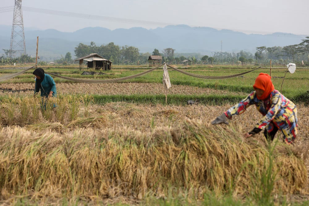 Airlangga Blak-blakan soal Aturan Pemutihan Utang Petani & Nelayan Airlangga Blak-blakan soal Aturan Pemutihan Utang Petani & Nelayan