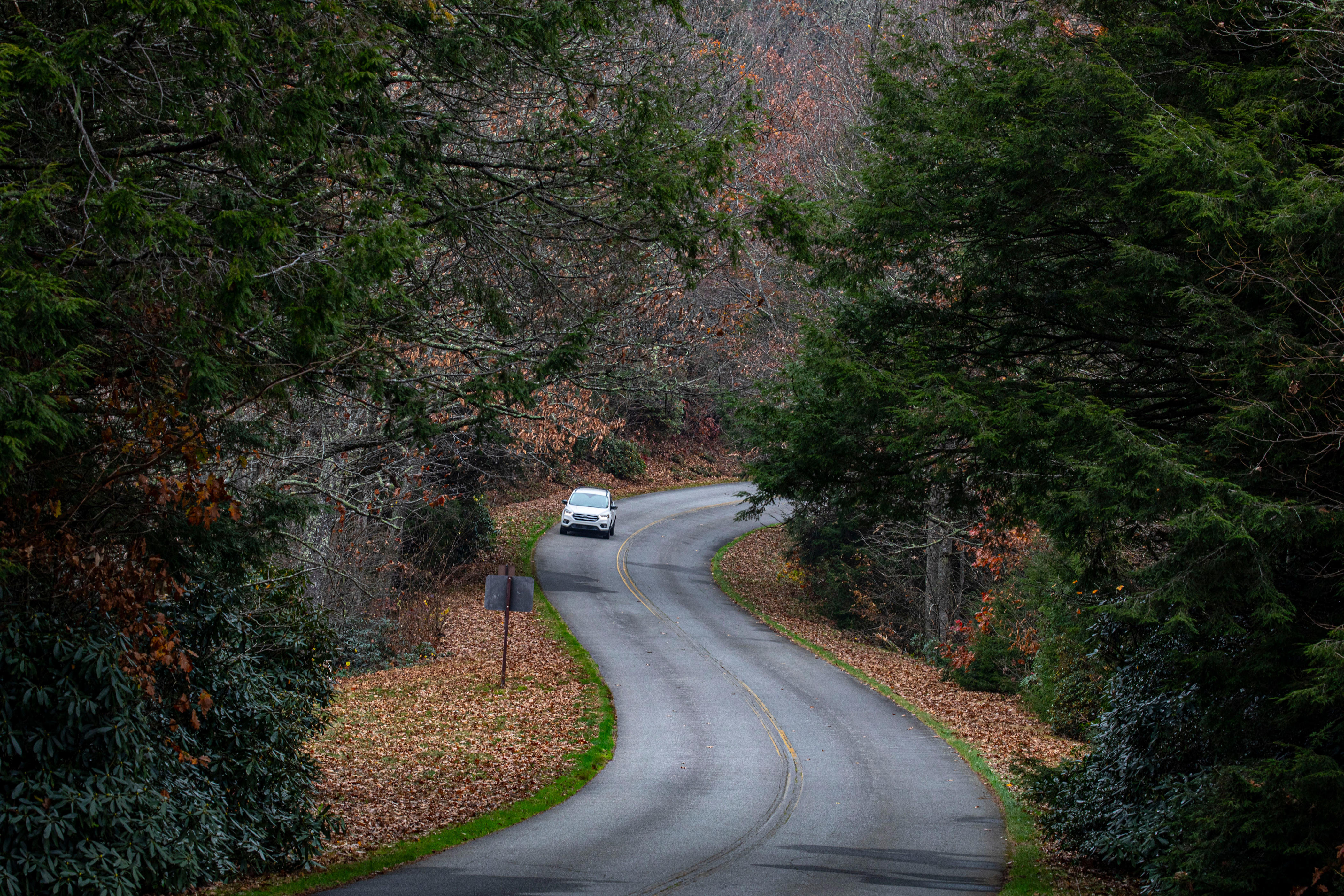 Blue Ridge Parkway south of Asheville reopens after Helene