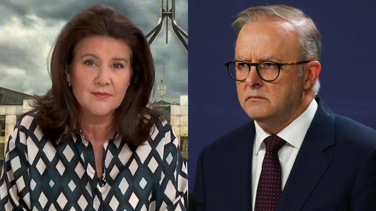 Jane Hume questions Anthony Albanese’s Qatar Airlines decision Jane Hume questions Anthony Albanese’s Qatar Airlines decision