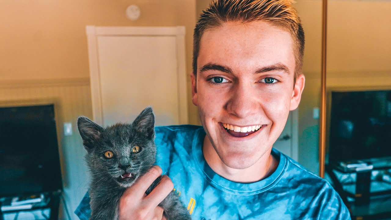 Welcoming our new cat Shadow into the family at home