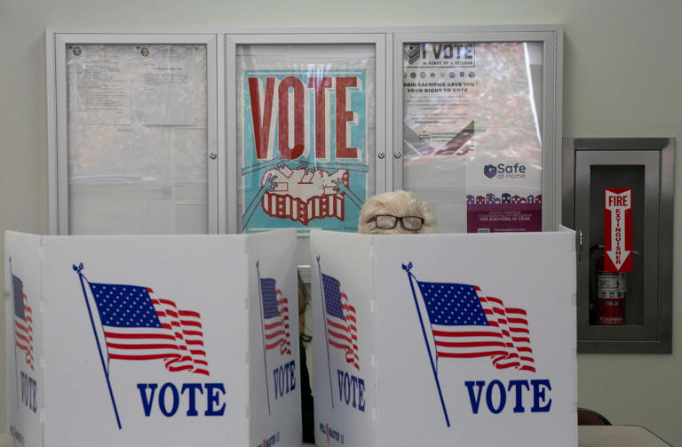 Election Day 2024: Looking for your sample ballot in Ohio? Here's how ...