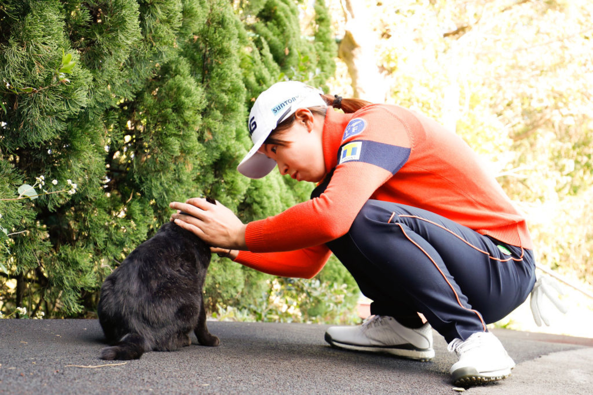 Sorte katte: Sandheden om din overtro