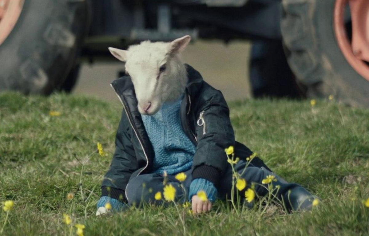 25 Terrifying Horror Movies That Push the Boundaries of Fear