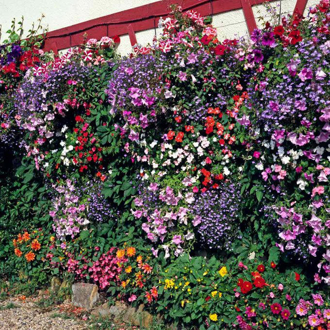 10 Front Yard Flower Bed Ideas to Make Your Space Bloom
