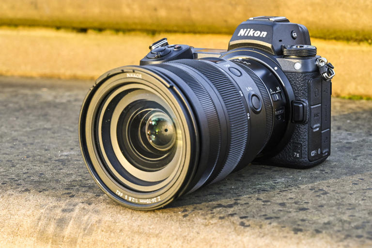 The best cameras for photography in 2025: perfect cameras for wildlife ...