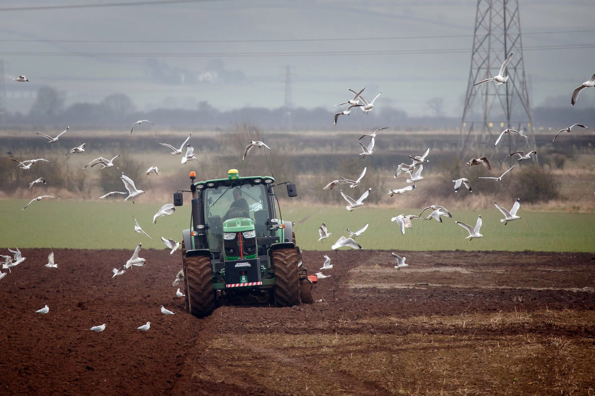 Impact of changes to farming inheritance tax: key questions answered Impact of changes to farming inheritance tax: key questions answered
