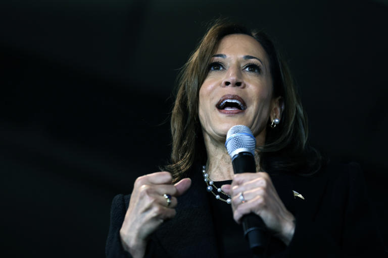 Kamala Harris Wins Back Young Voters in Final Weeks of Campaign: Poll Kamala Harris Wins Back Young Voters in Final Weeks of Campaign: Poll