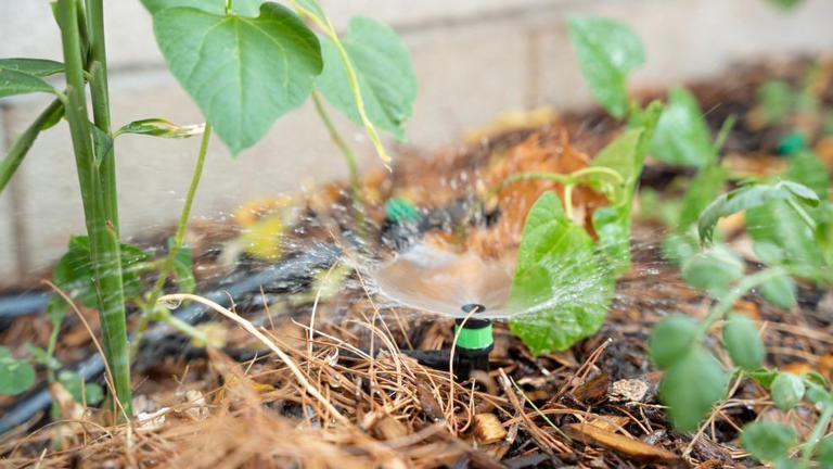 Fall watering schedule set to begin September 1 in Southern Nevada