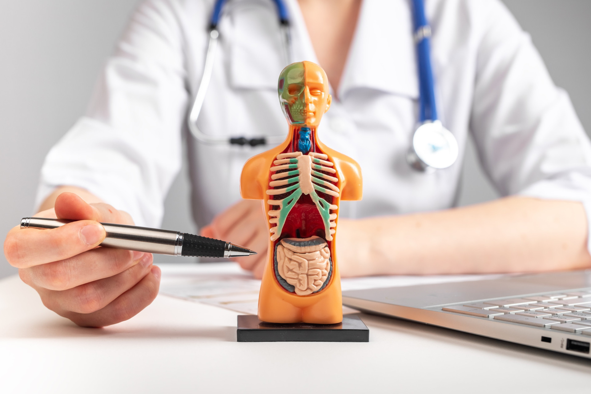 From head to toe: every useless body part explained