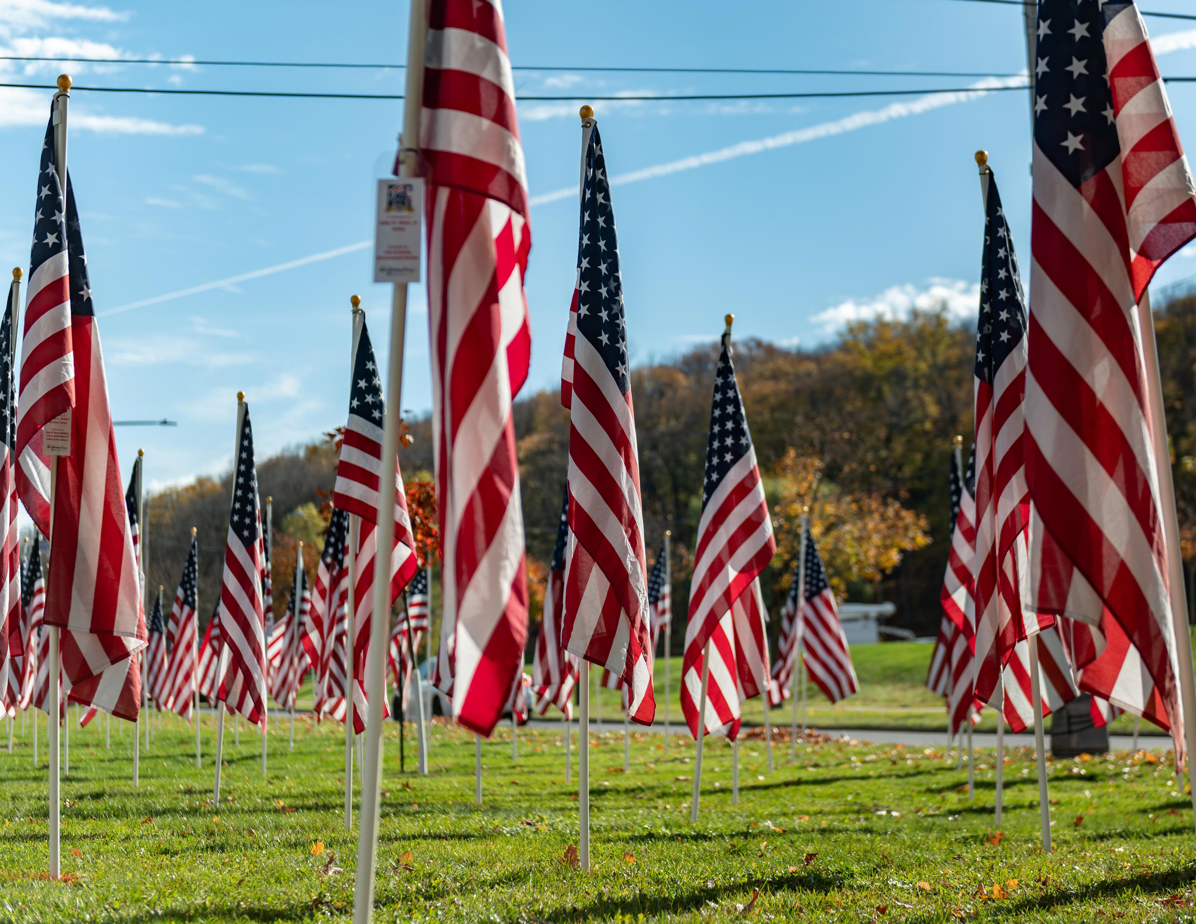 Flags for Heroes to honor veterans from Nov. 4 to 11