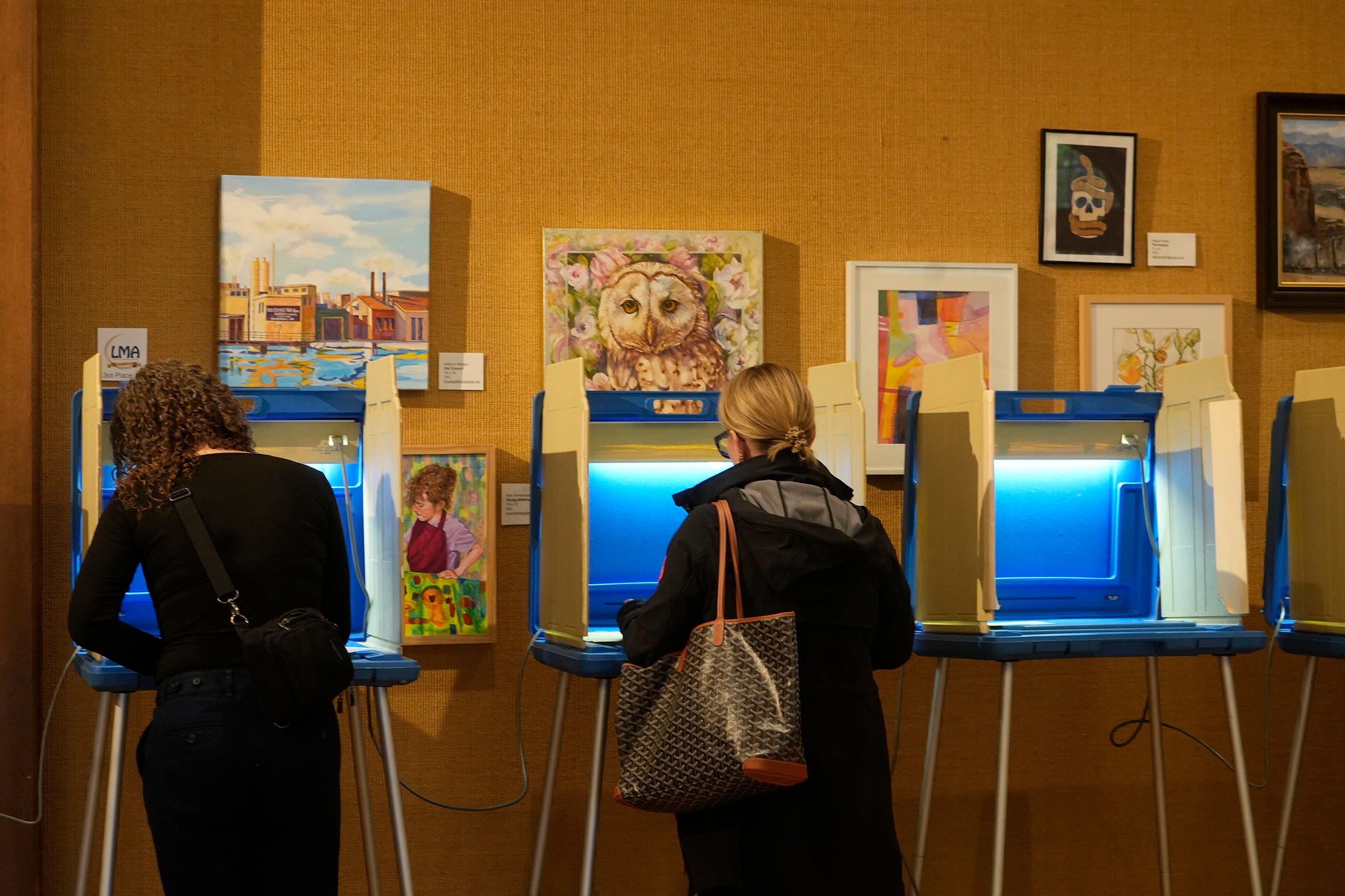 Wisconsin voters pass 'eligibility to vote' referendum in 2024 election